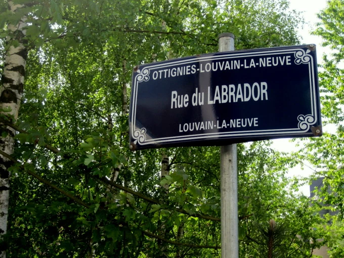 26 Labrador Road | Tintin Wiki | Fandom