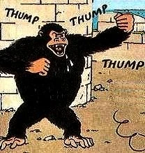 Ranko | Tintin Wiki | Fandom