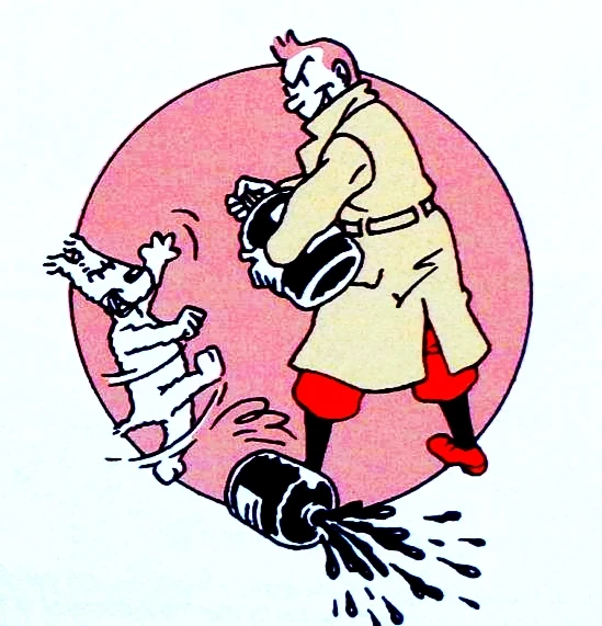 Zinzin | Tintin Fanon Wiki | Fandom