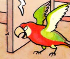 Jacko | Wiki Tintin | Fandom