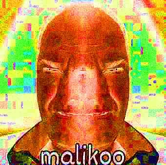 Malikoo | Tiny Dog Wiki | Fandom