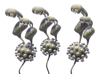 Unhealthy Flockers | Tiny Planets Wiki | Fandom