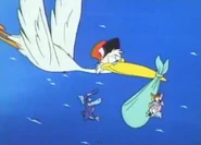Acme Cable TV/Gallery | Tiny Toon Adventures Wiki | Fandom