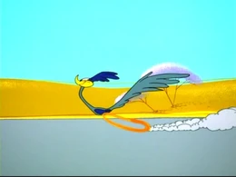 Road Runner | Tiny Toon Adventures Wiki | Fandom