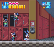 Roderick and Rhubella Rat | Tiny Toon Adventures Wiki | Fandom