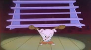 Hero Hamton/Gallery | Tiny Toon Adventures Wiki | Fandom