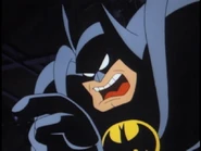 Batman | Tiny Toon Adventures Wiki | Fandom