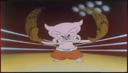 Hero Hamton/Gallery | Tiny Toon Adventures Wiki | Fandom
