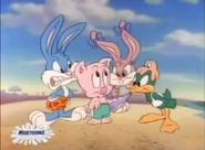 No Toon Is an Island/Gallery | Tiny Toon Adventures Wiki | Fandom