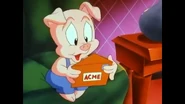Hog Wild Hamton/Gallery | Tiny Toon Adventures Wiki | Fandom