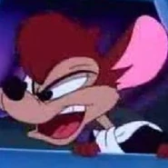 Roderick and Rhubella Rat | Tiny Toon Adventures Wiki | Fandom