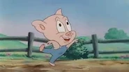 Hero Hamton/Gallery | Tiny Toon Adventures Wiki | Fandom