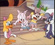Hero Hamton/Gallery | Tiny Toon Adventures Wiki | Fandom