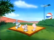 Pledge Week/Gallery | Tiny Toon Adventures Wiki | Fandom