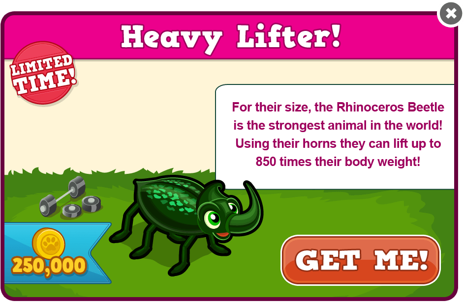 Rhinoceros Beetle | Tiny Zoo Wiki | Fandom