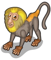 Lesula Monkey | Tiny Zoo Wiki | Fandom
