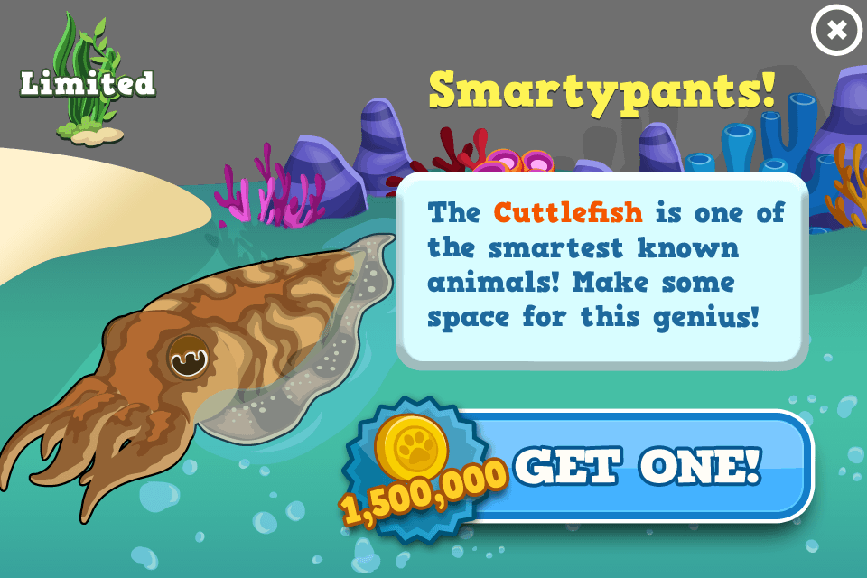 Cuttlefish | Tiny Zoo Wiki | Fandom