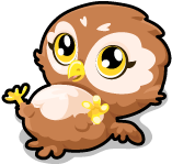 Cubby Owl | Tiny Zoo Wiki | Fandom