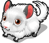 Royal Persian Angora Chinchilla | Tiny Zoo Wiki | Fandom