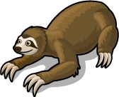 Three Toed Sloth | Tiny Zoo Wiki | Fandom
