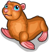 Ginger Seal | Tiny Zoo Wiki | Fandom