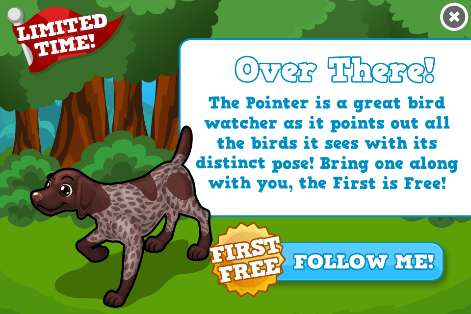 Pointer | Tiny Zoo Wiki | Fandom