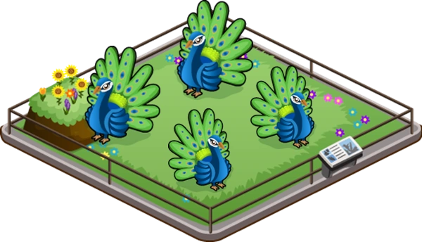 Peacock | Tiny Zoo Wiki | Fandom