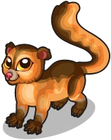 Olinguito | Tiny Zoo Wiki | Fandom