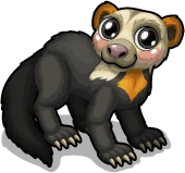 Tayra | Tiny Zoo Wiki | Fandom