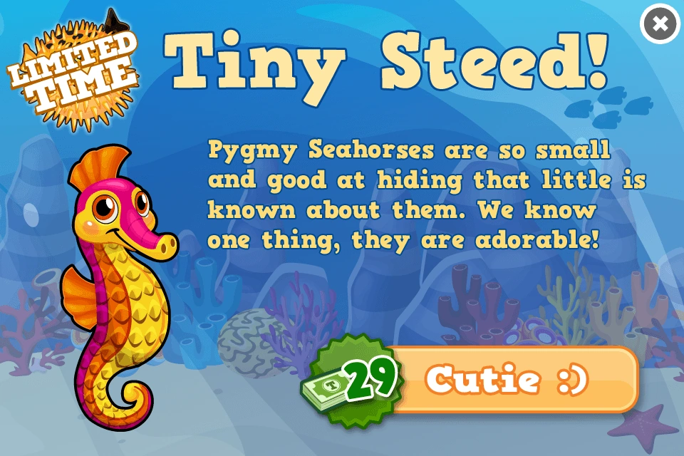 Pygmy Seahorse | Tiny Zoo Wiki | Fandom