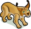 Caracal | Tiny Zoo Wiki | Fandom