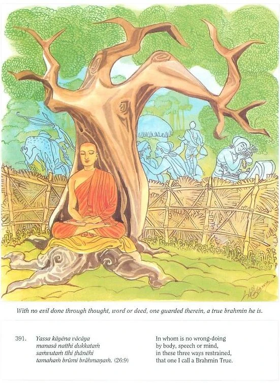 Dhammapada Verse 391 - Mahapajapatigotami Vatthu | Wikipitaka - The ...