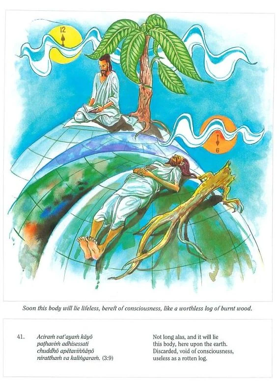 Dhammapada Verse 41 - Putigattatissatthera Vatthu | Wikipitaka - The ...