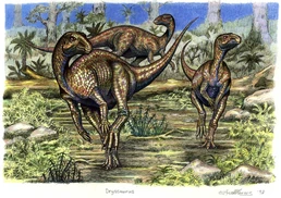 Dryosaurus | Wiki Mesozoico | Fandom
