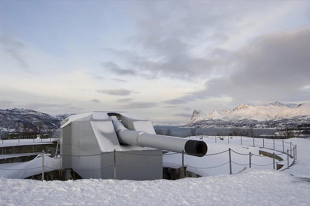 Adolfkanone | Wiki Titanic models | Fandom