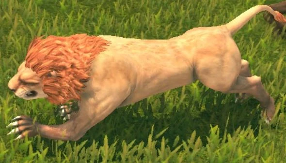 Berberei-Löwe | Titan Quest Wiki | Fandom