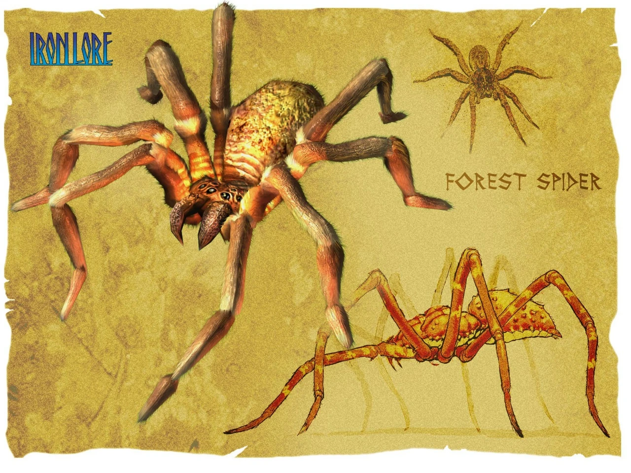 Spider | Titan Quest Wiki | Fandom