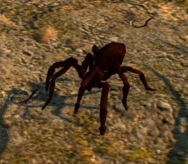 Spider | Titan Quest Wiki | Fandom