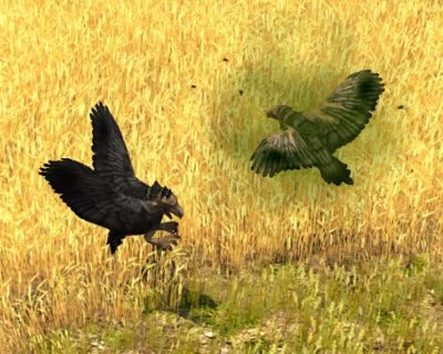 Carrion Bird | Titan Quest Wiki | Fandom