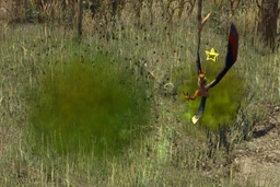 Letha, the Carrion Queen ~ Harpy Hero | Titan Quest Wiki | Fandom