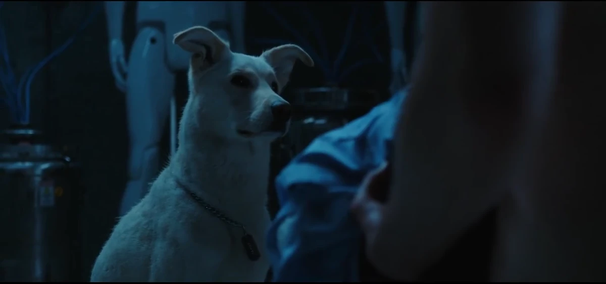 Krypto | Titans Wiki | Fandom