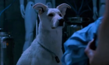 Krypto | Wiki Titãs | Fandom