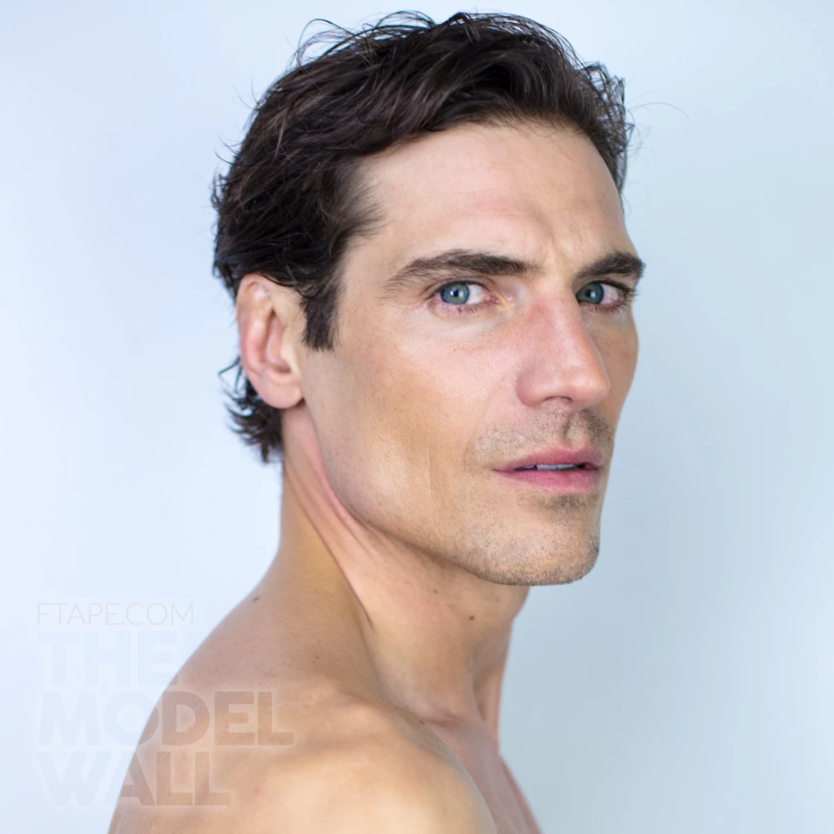 David Tanner | Titleholder Wiki | Fandom