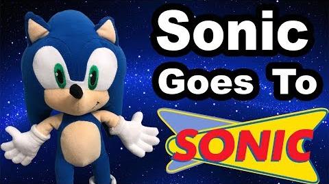Sonic Goes To Sonic | Titototter Wiki | Fandom