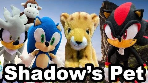 Shadow's Pet | Titototter Wiki | Fandom