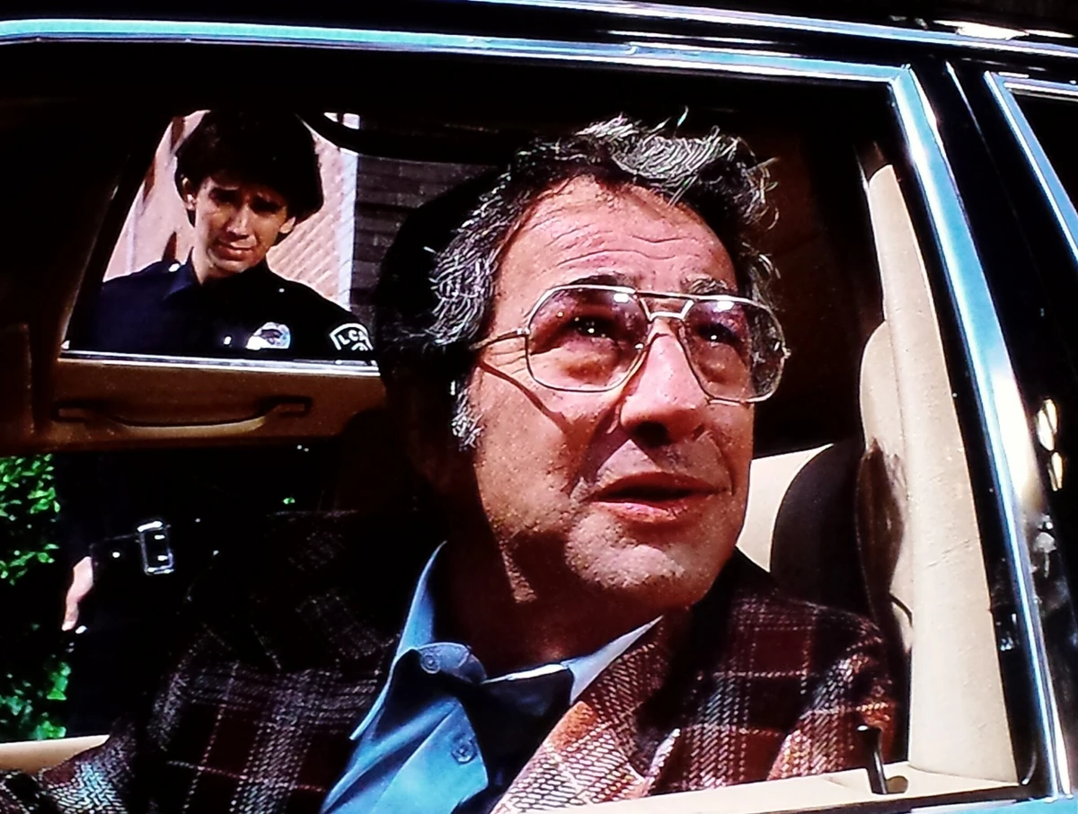 Mr. Singer | T.J. Hooker Wiki | Fandom