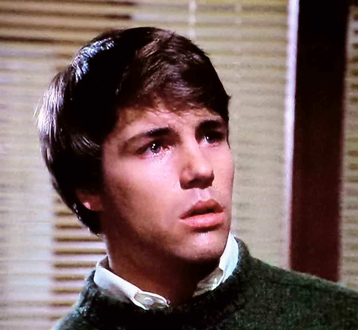 David Wagner | T.J. Hooker Wiki | Fandom