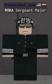 ROKA | Roblox DMZ Wiki | Fandom