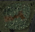 Forest | The Last Stand Wiki | Fandom