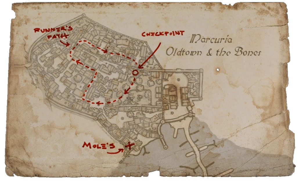 Mole's Map | TLJwiki | Fandom